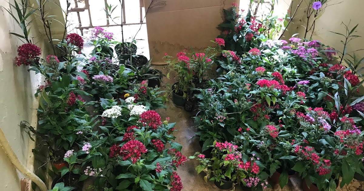 Pedro Nelson Colberg(Anexo): Capas de Atmósfera, placas tectónicas y ...