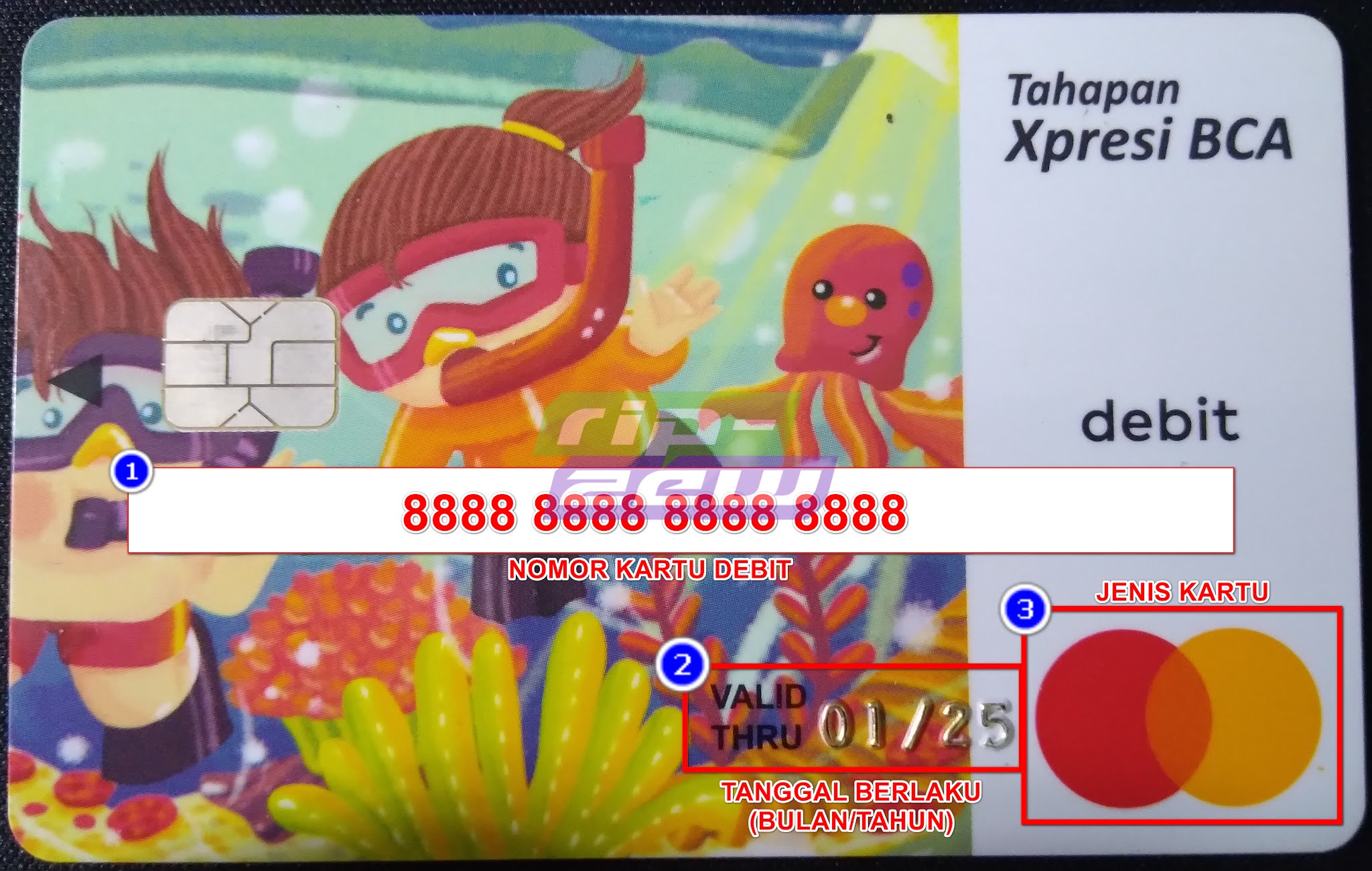 Dimana Letak CVV Pada Kartu Debit BCA? (MUDAH!) - ripzew | Website ...