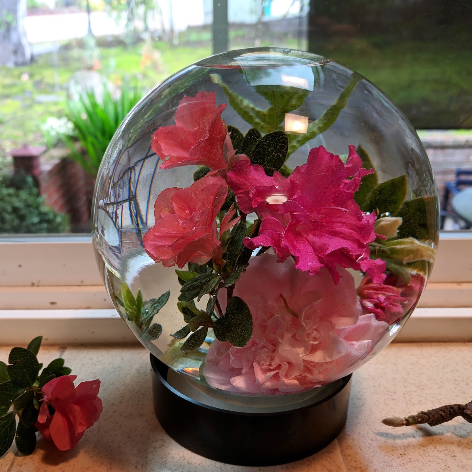 Eden By The Bay: March 2019