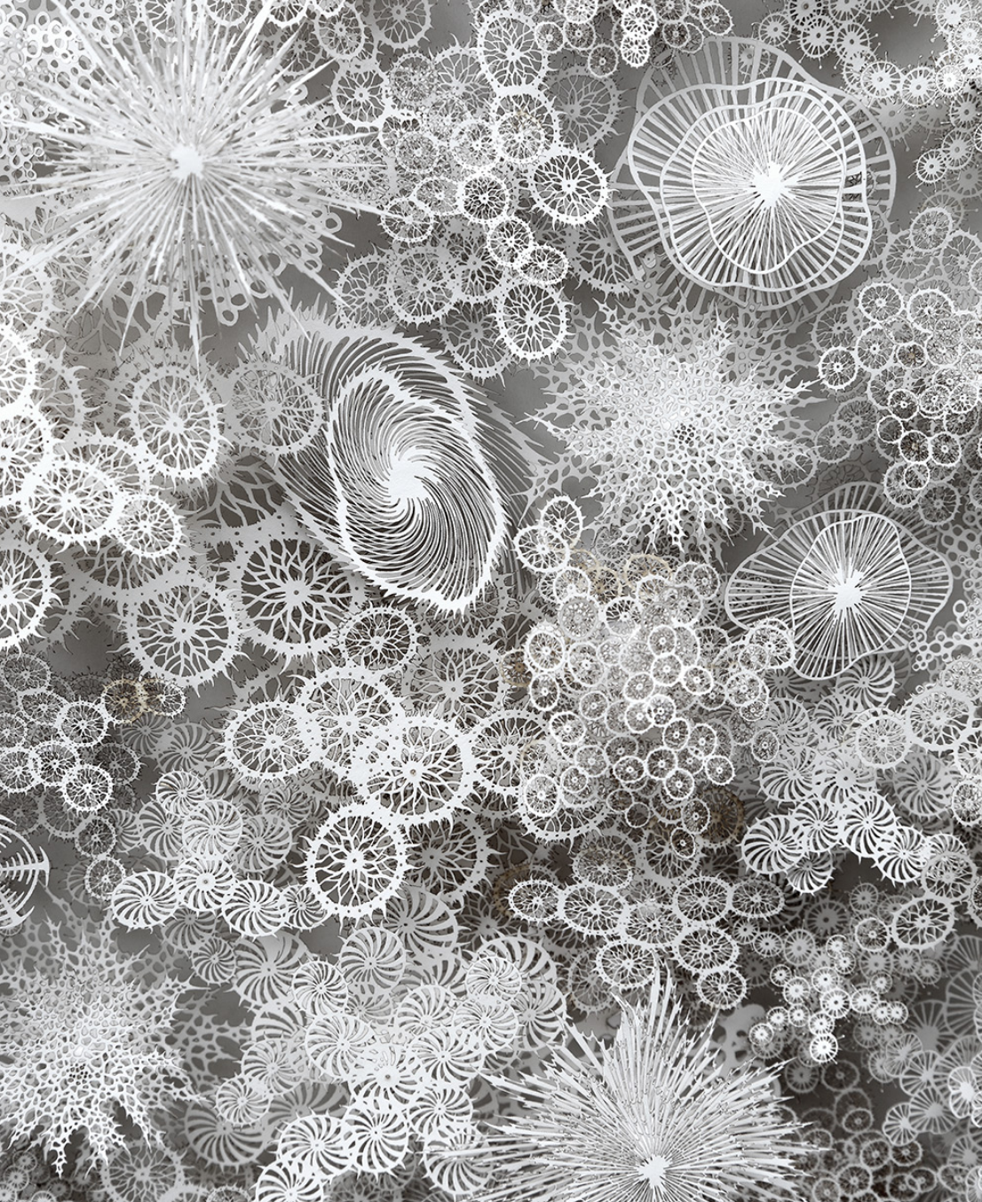 the art room plant: Rogan Brown