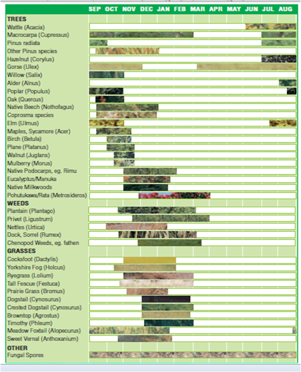 Environmental Health: Allergy Seasons in New Zealand