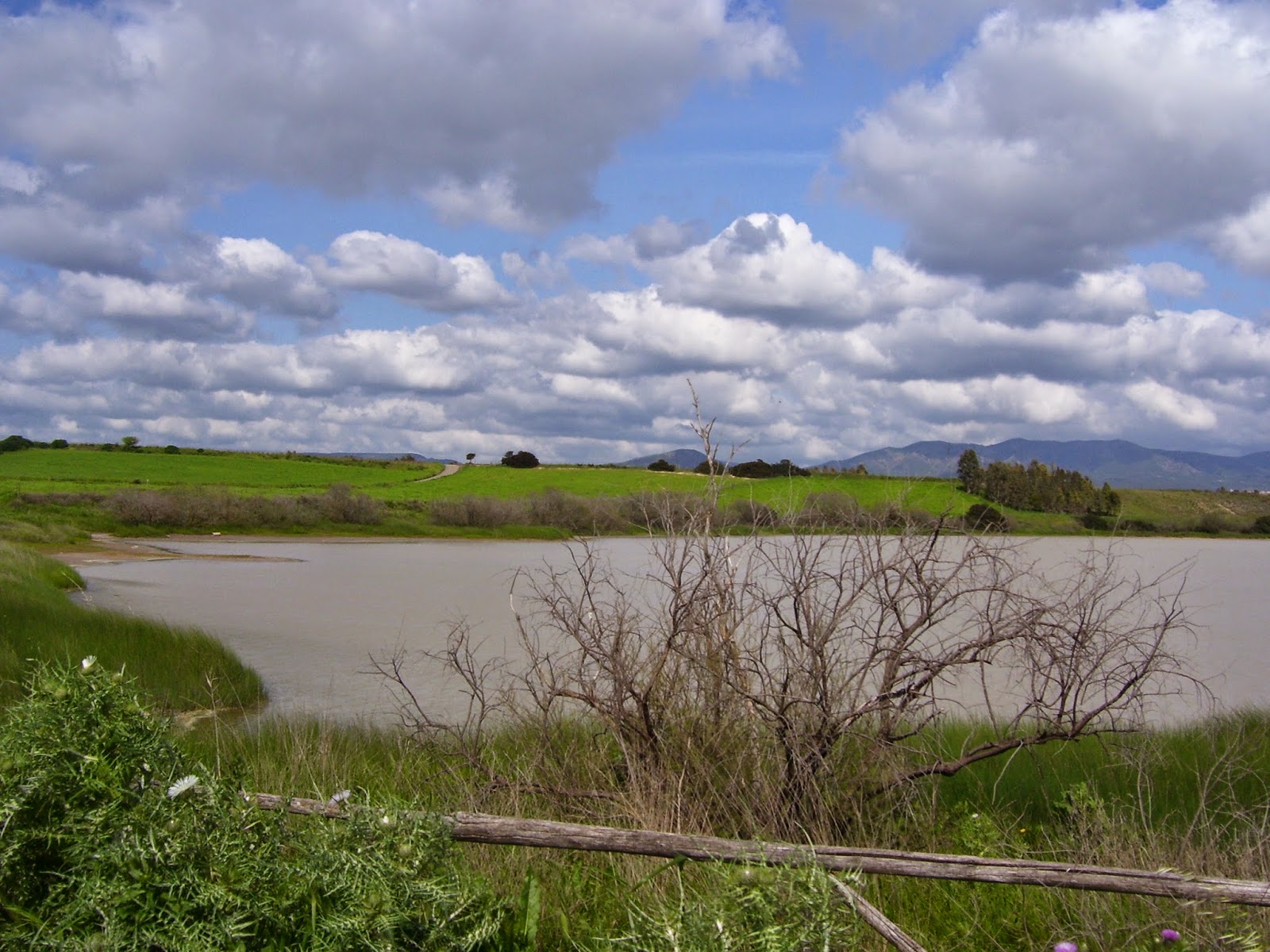 Travelogue Sardinia - Italy: Serdiana: Santa Maria di Sibiola e ...