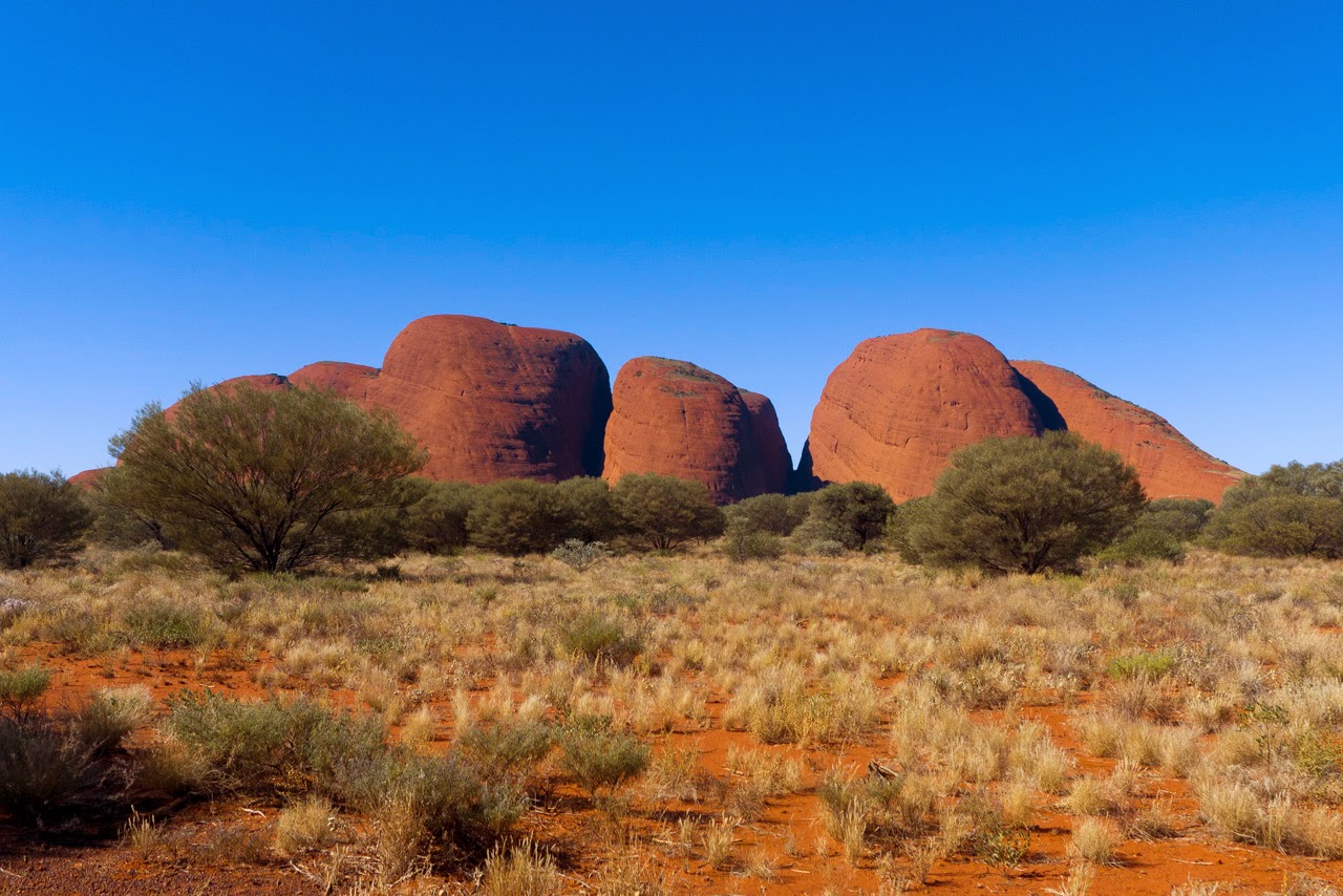 Hi world! | nuestro viaje por el mundo: Uluru, largo viaje al centro de ...