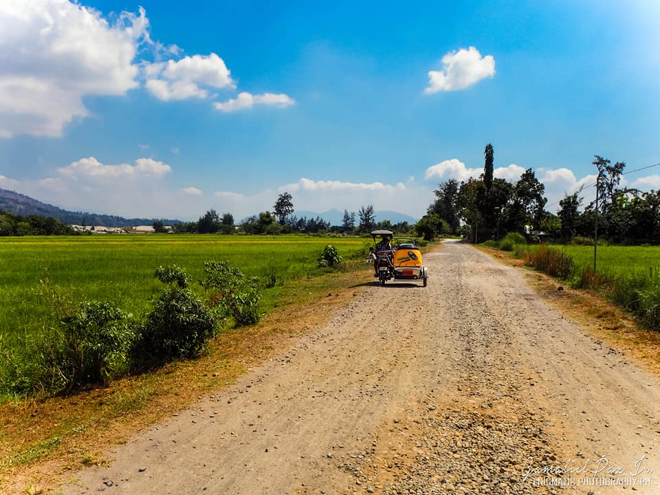 Paper Tree Resort & Picnic Area ~ Facebook Spotlight