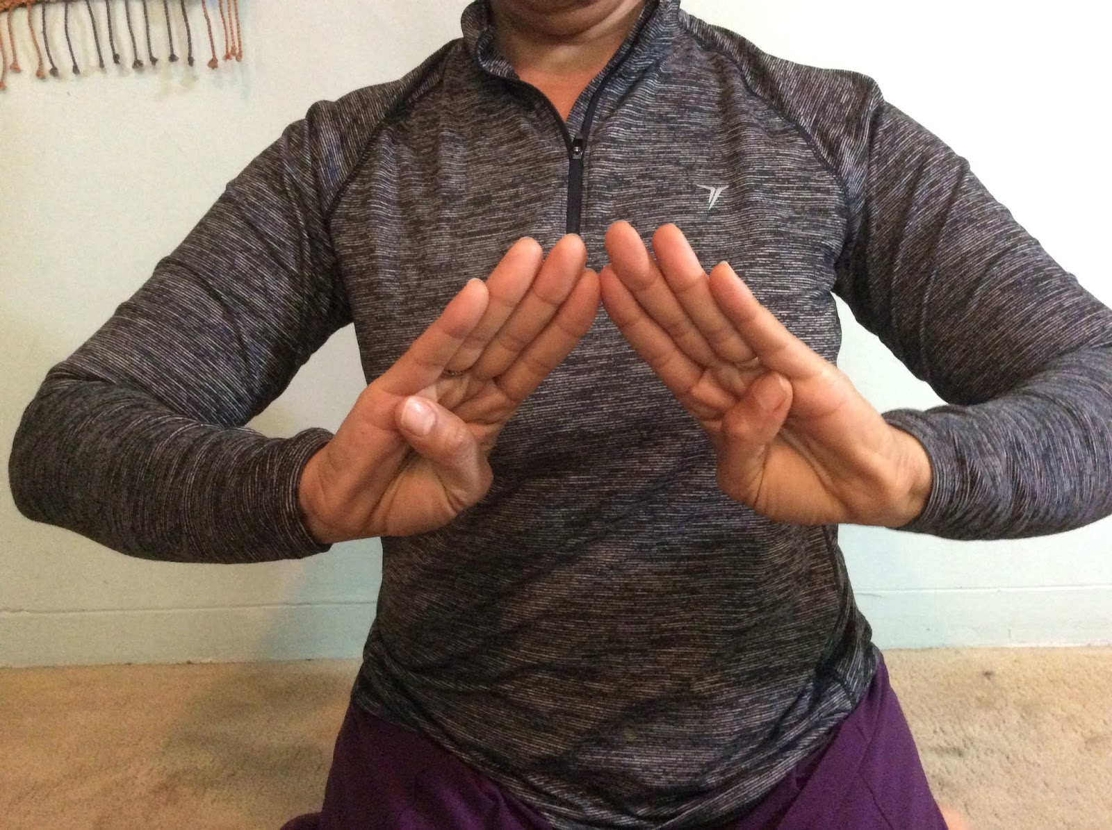 Art/Yoga Fusion: Important Mudras for Me to use in Lunar Practices of Yoga
