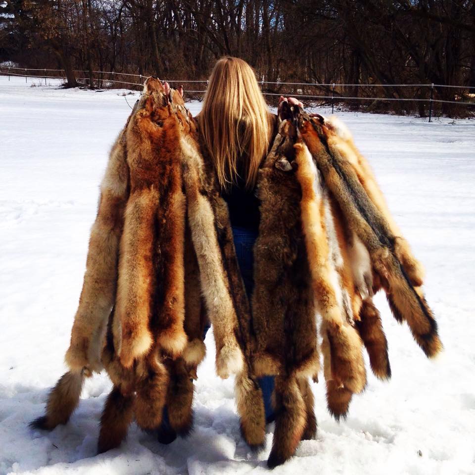 Skye Goode: Putting Up Coyote Fur
