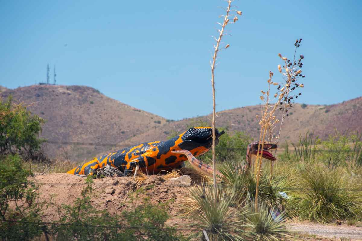 Kissack Adventures: Rattlesnake Ranch And A Cemetery .. Fitting,Yes?