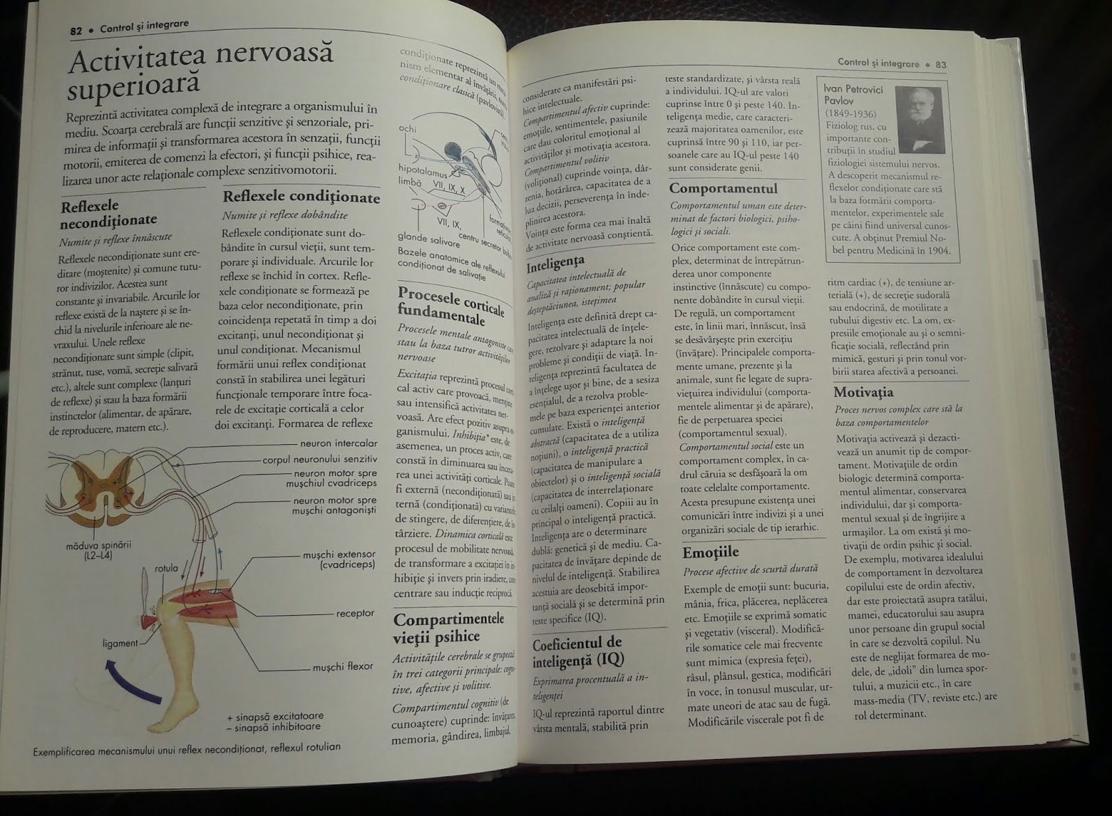 Enciclopedia corpului uman - Ionel Roșu; Călin Istrate; Monica Silvester