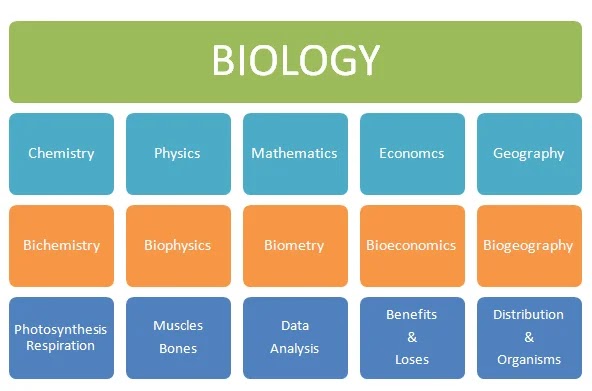 The Simple Definition of Biology | Relationship of Biology to other ...
