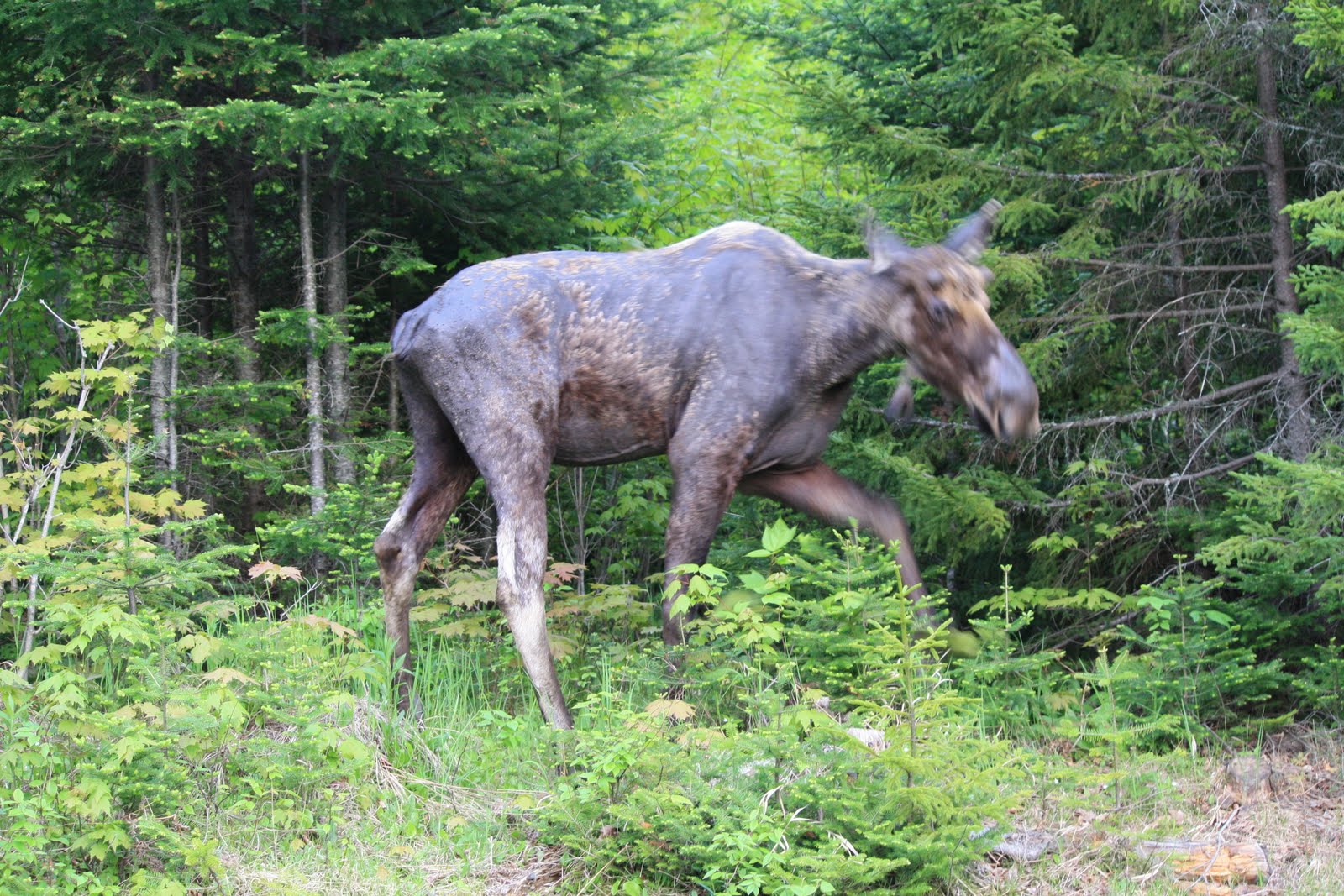 It was an amazing afternoon and I had an amazing time with the group!