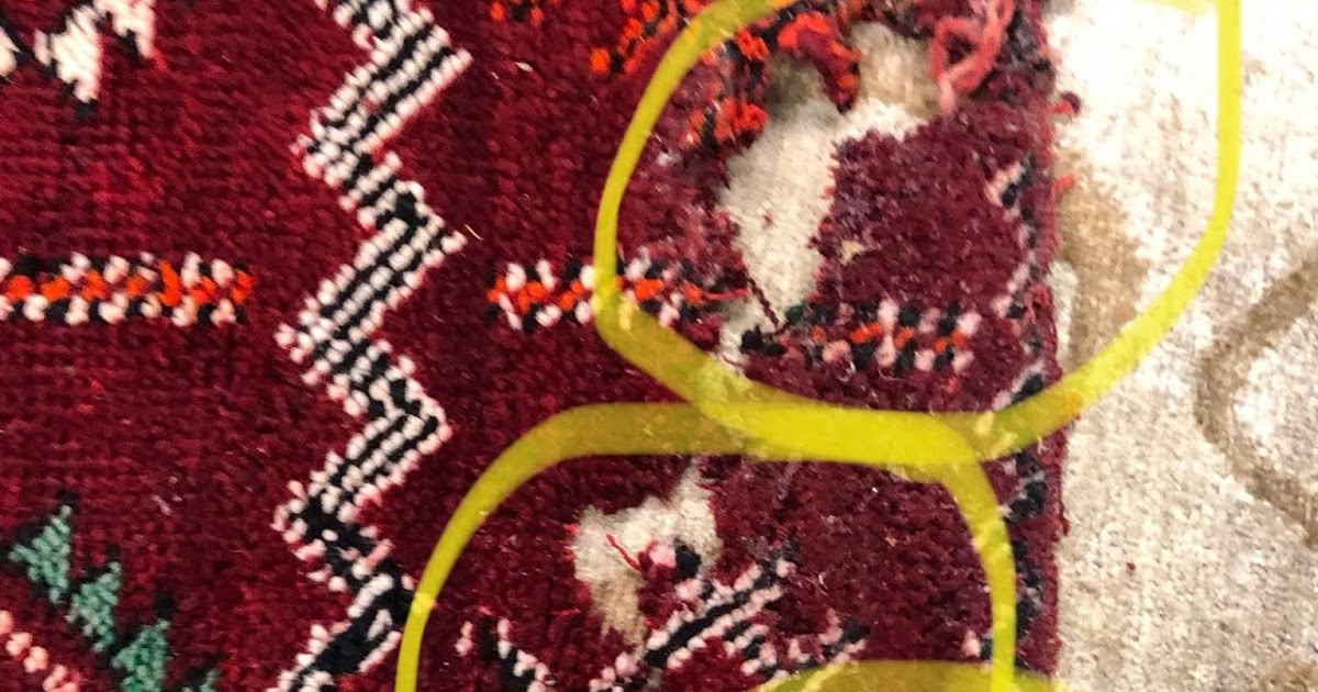 What Does Moth Damage Look Like in an Oriental Rug
