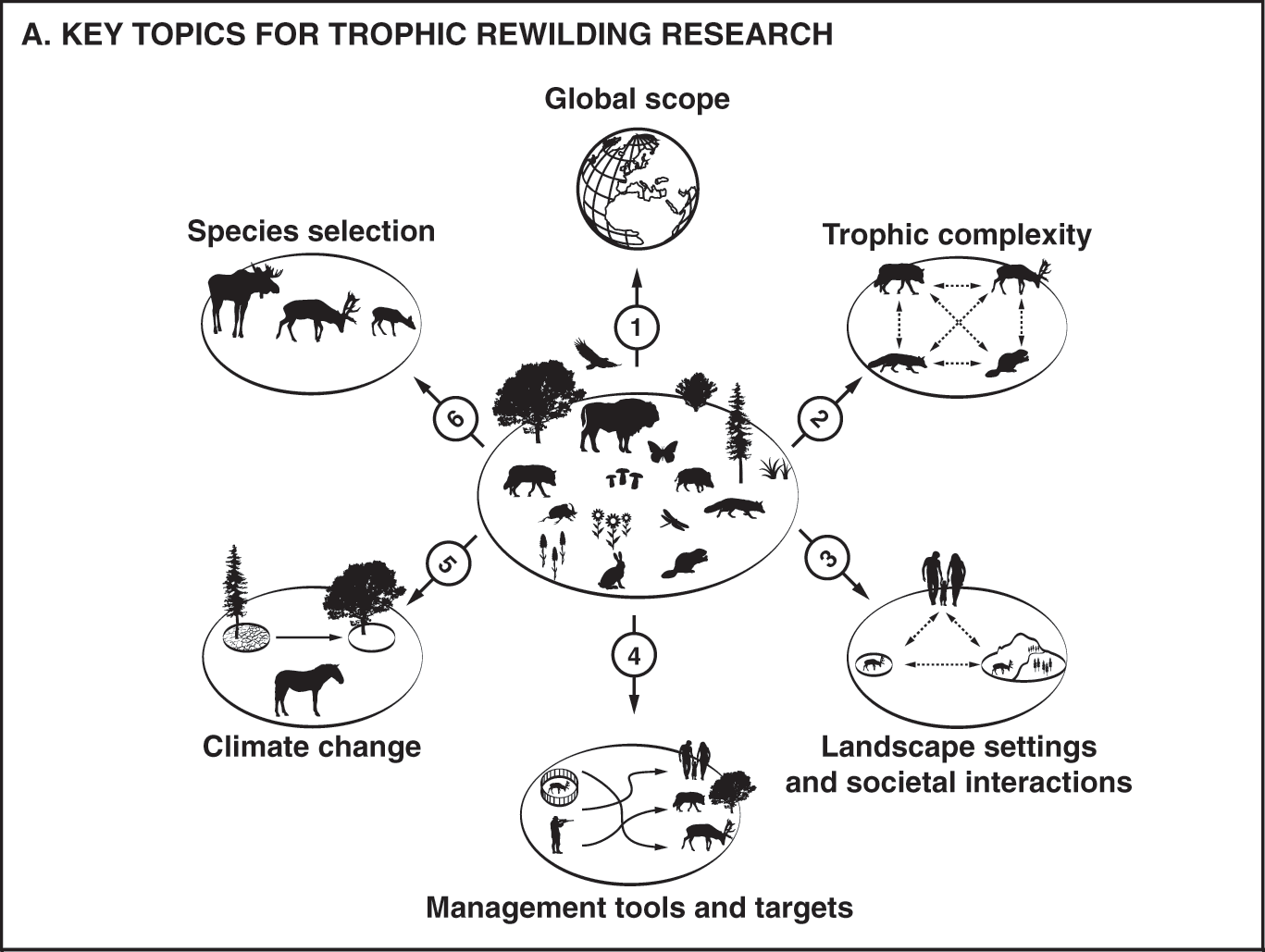 Words and what not: Wikicite from the ground up: "Trophic rewilding"