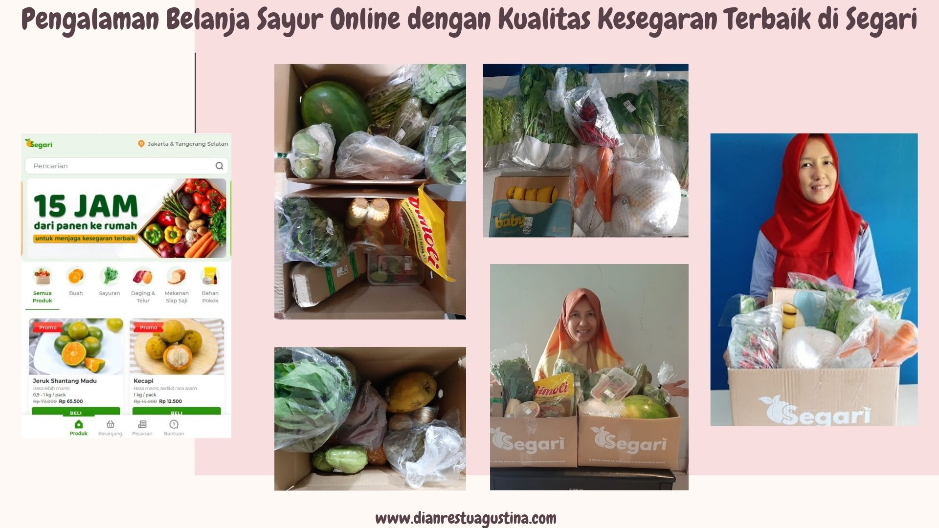 Pengalaman Belanja Sayur Online dengan Kualitas Kesegaran Terbaik di ...