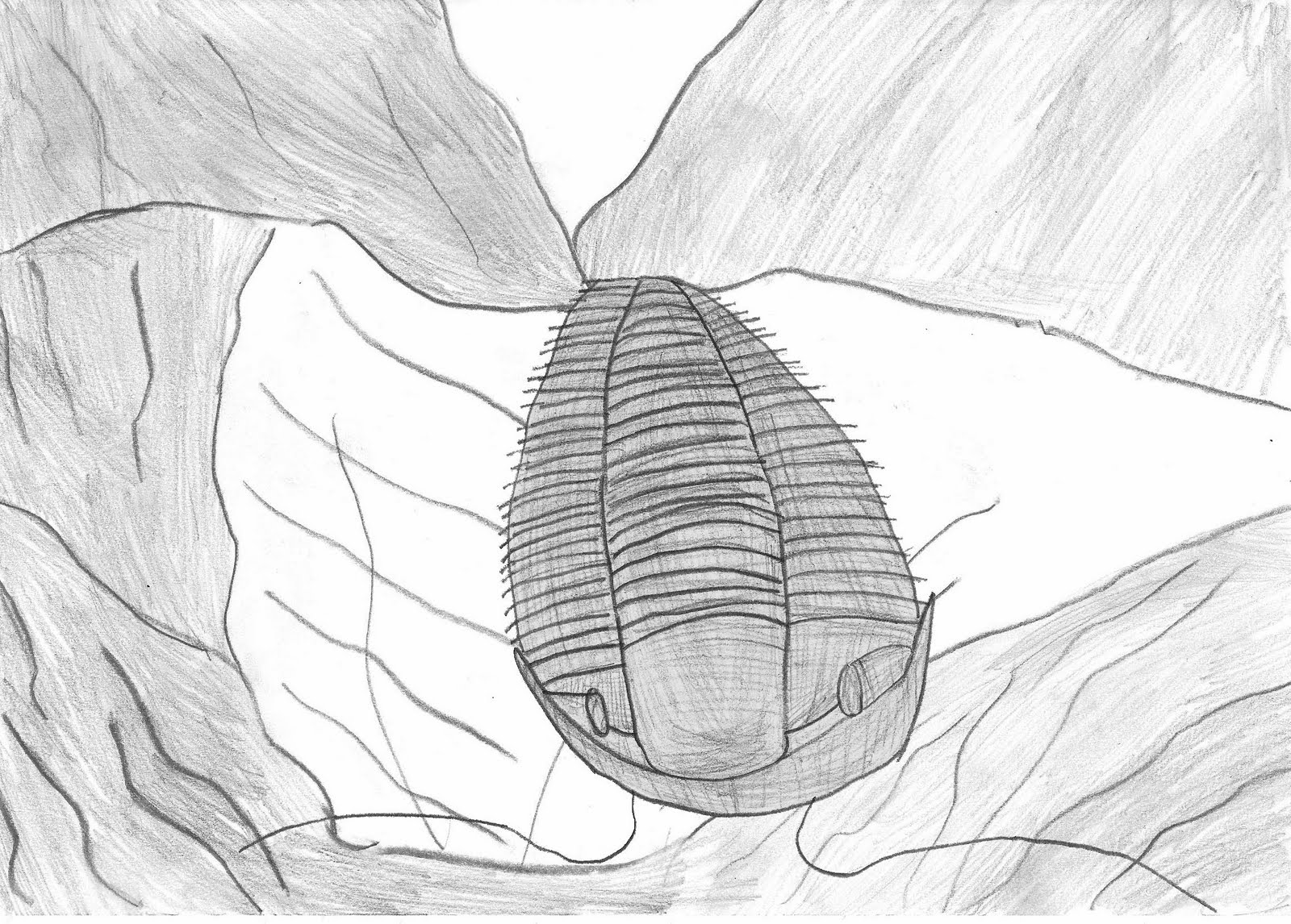 Poznaj Tajemnice Nauki: Trylobit - prehistoryczny pancernik