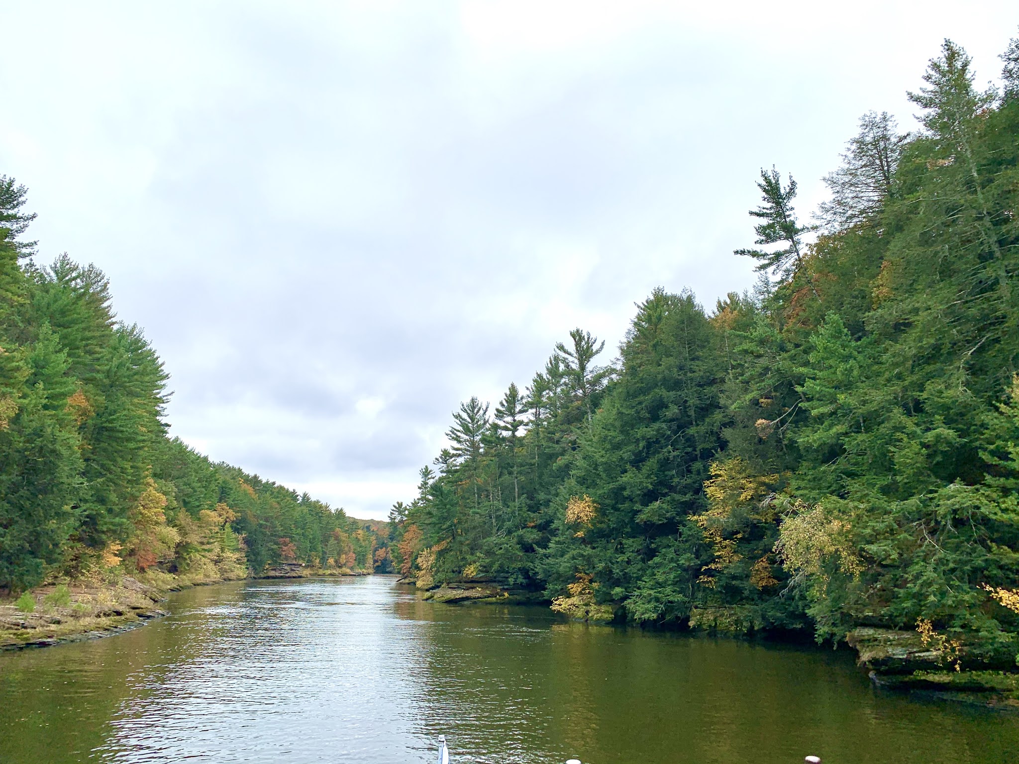 Amy's Creative Pursuits: A Fall Ride On The Upper Dells Boat Tour