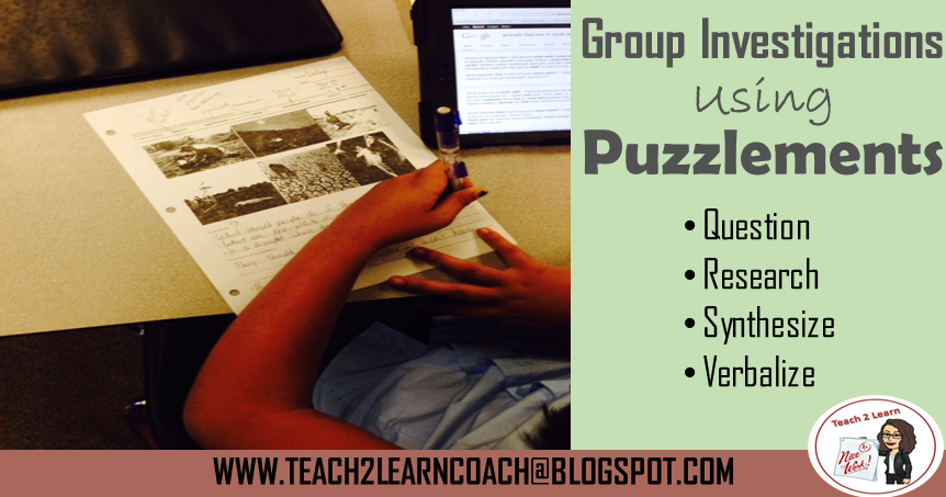Group Investigations Using Puzzlements