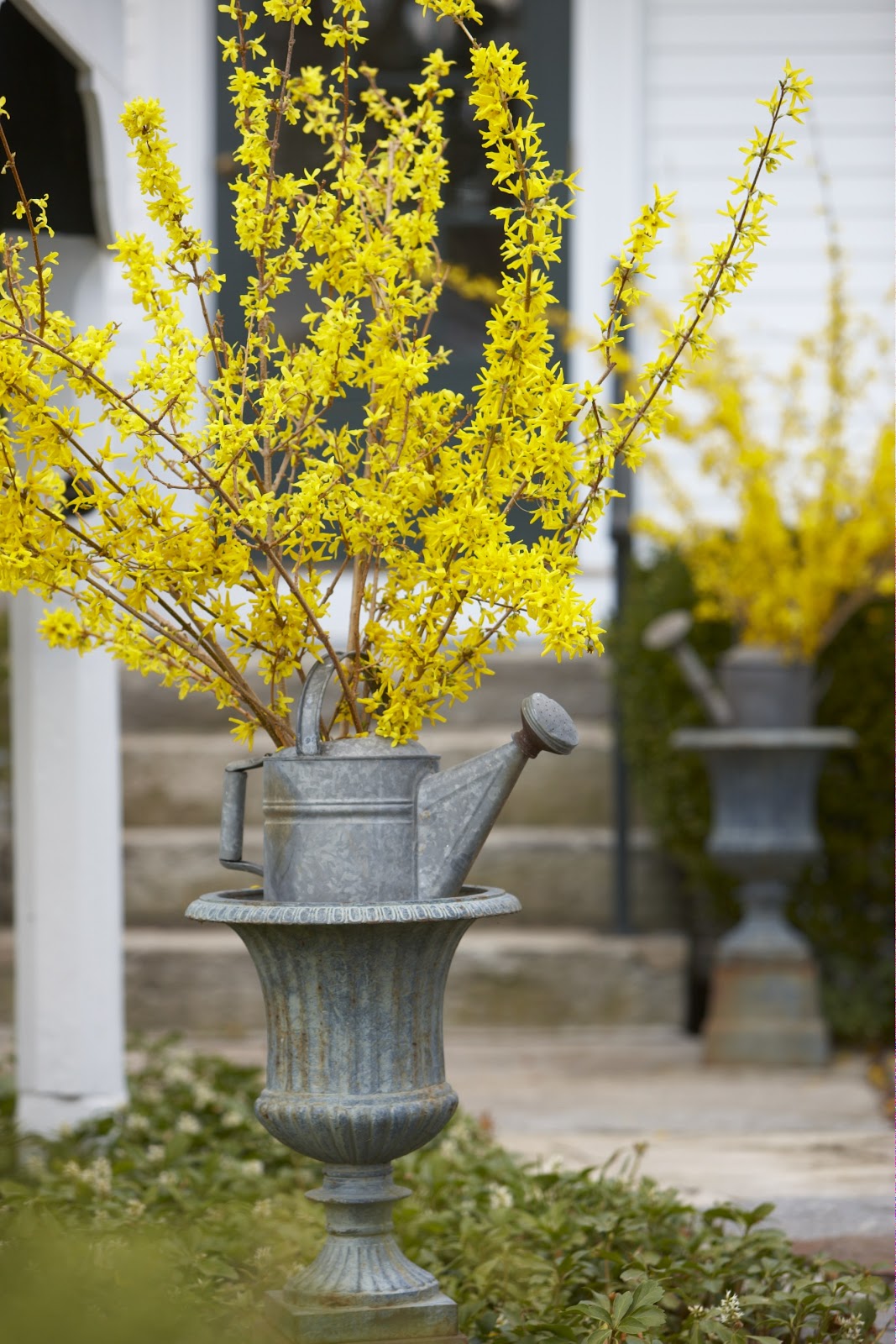 Karin Lidbeck Forcing Forsythia Branches karin-lidbeck-forcing-forsythia-branches