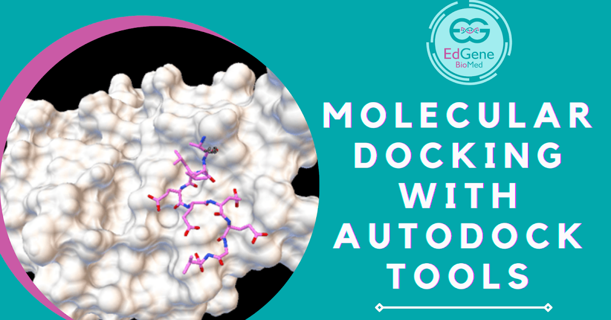 How To Perform Molecular Docking With Autodock Tools