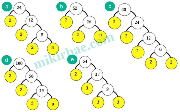 Bilangan Prima dan Faktorisasi Prima | Mikirbae.com