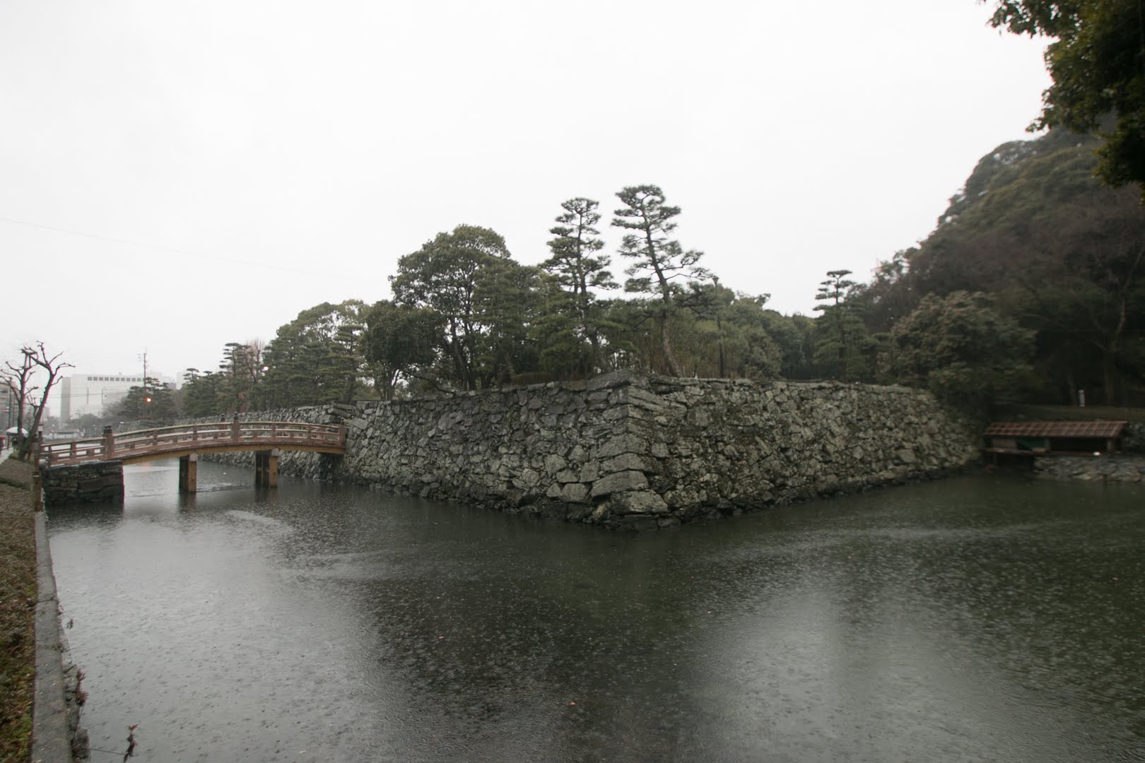 Tokushima Castle -Survived descendant of Hideyoshi's oldest confident ...