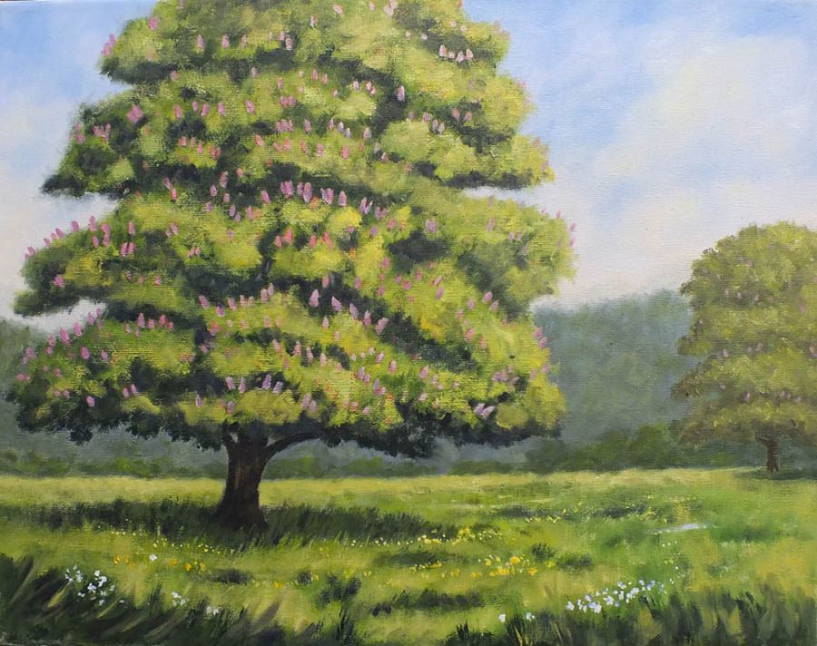 Harrow Lodge Paintings: Pink Flowering Horse chestnut tree