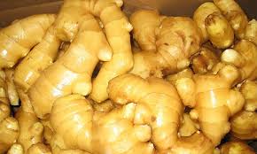 Jual Jahe no.1 Di indonesia