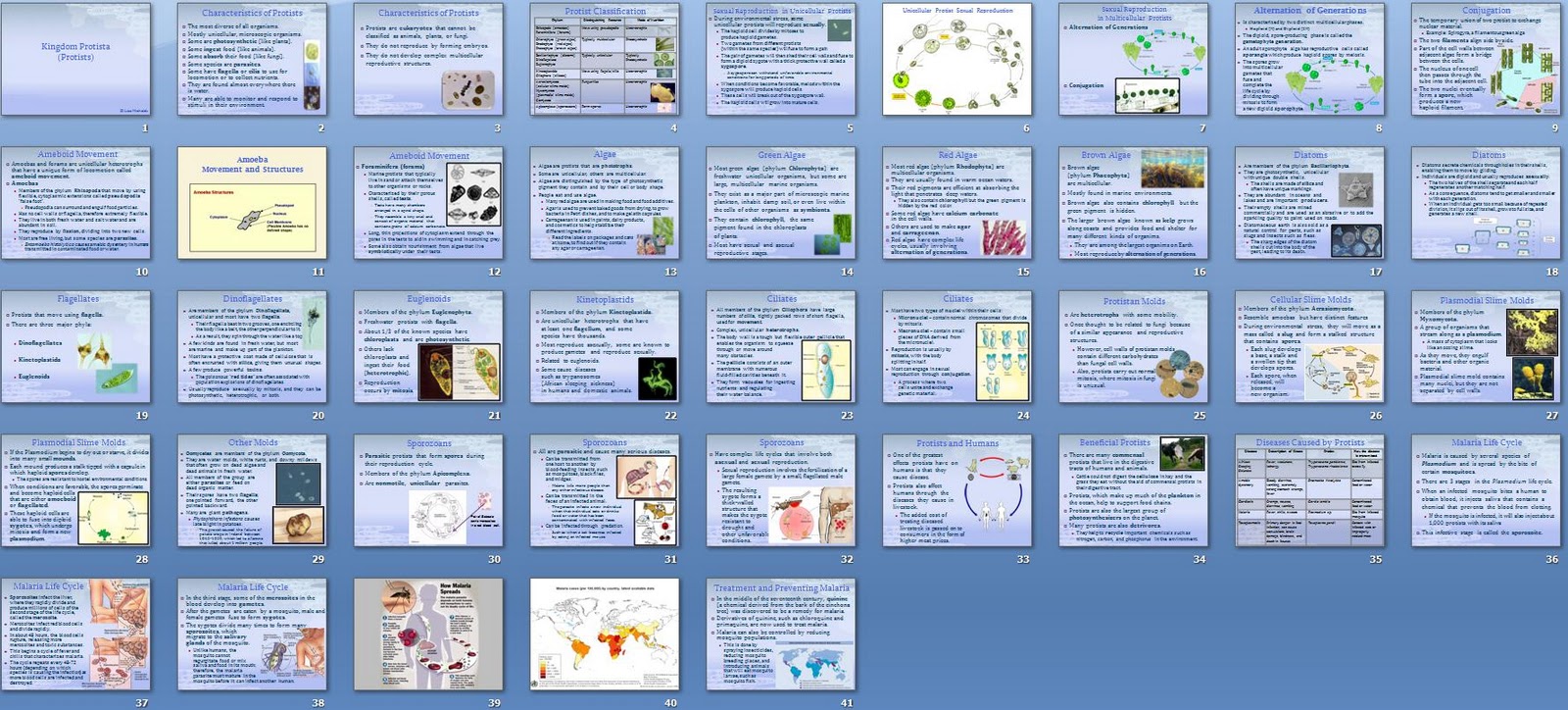 The Lesson Guide: Kingdom Protista (Protists) Unit Bundle - 10 files