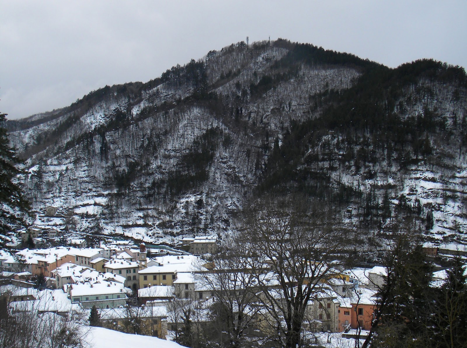 Il blog della Biblioteca di Marradi: Nella neve a Monte Gianni
