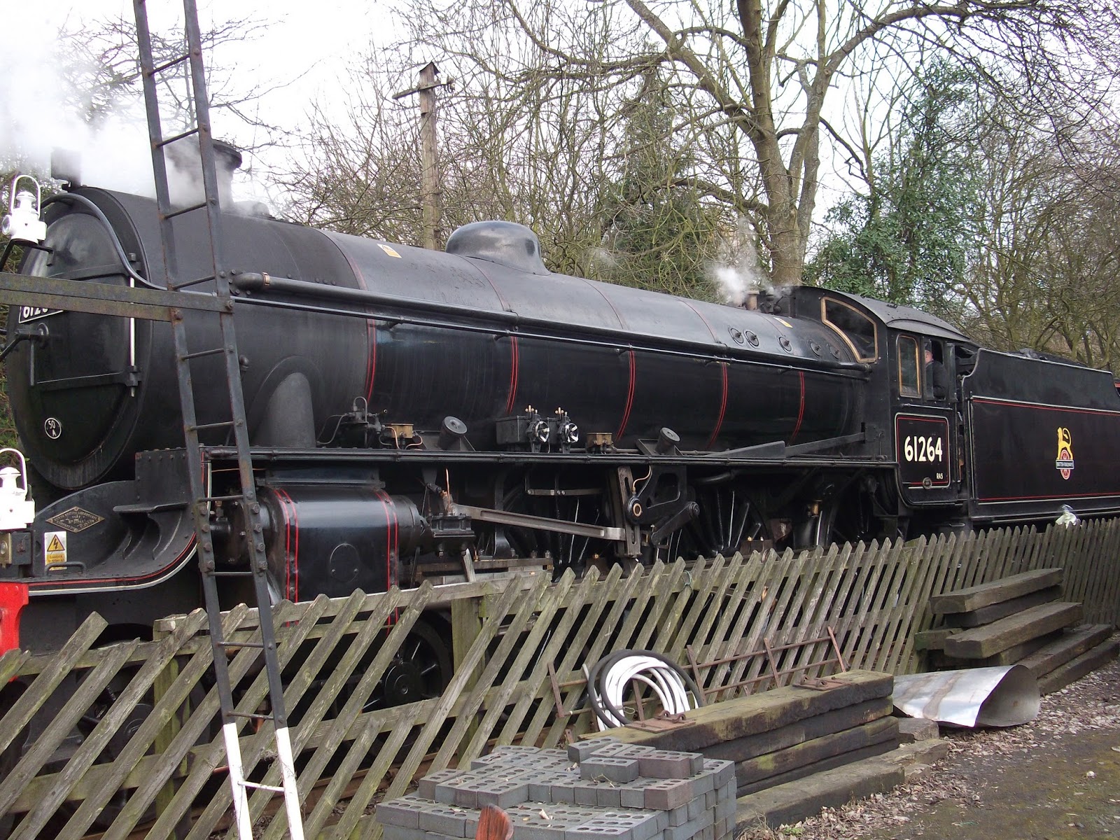 Steam Memories: Thompson B1 61264 on the Ingrow goods