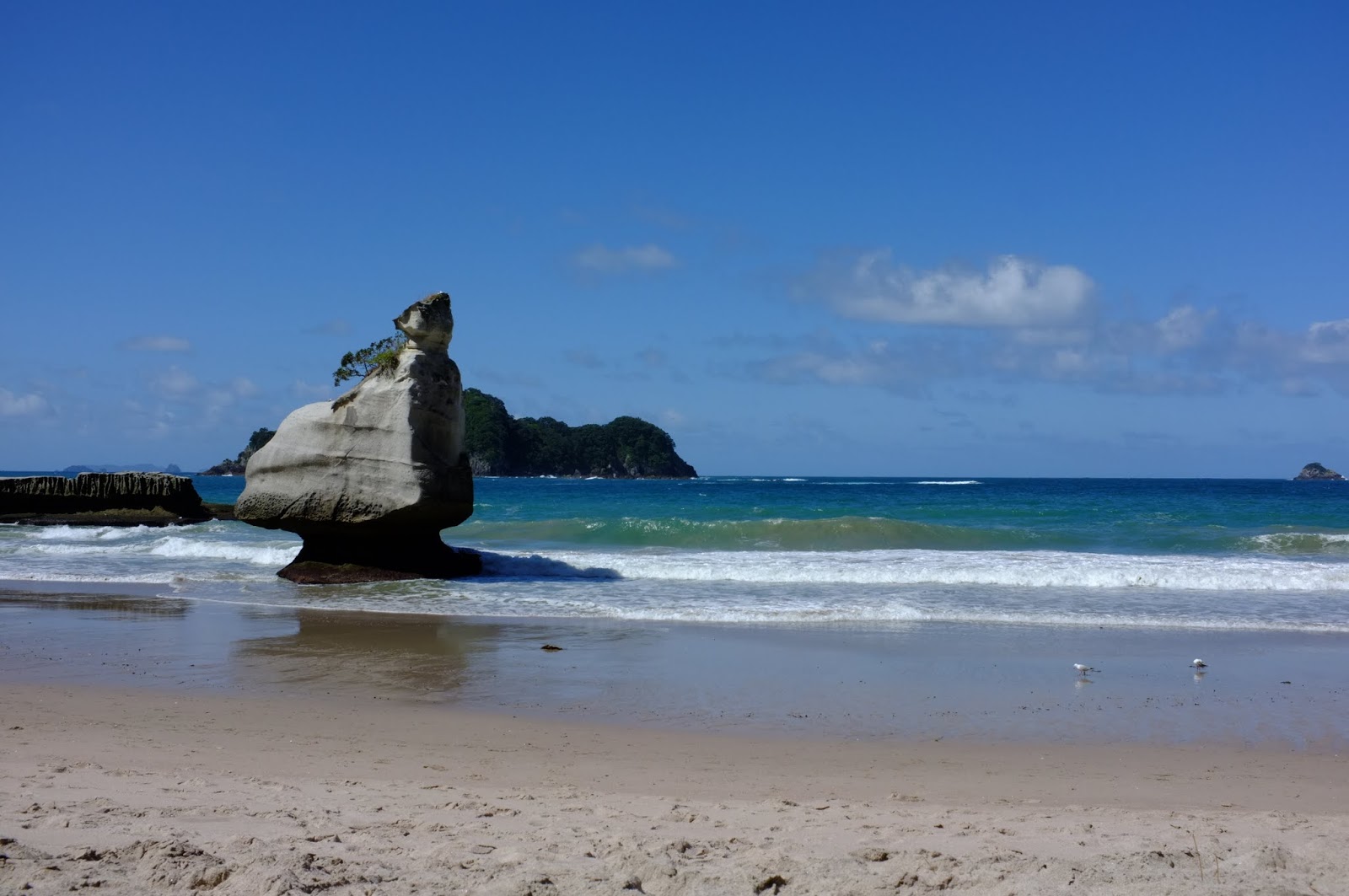 Around New Zealand: Hahei through to Mt Maunganui