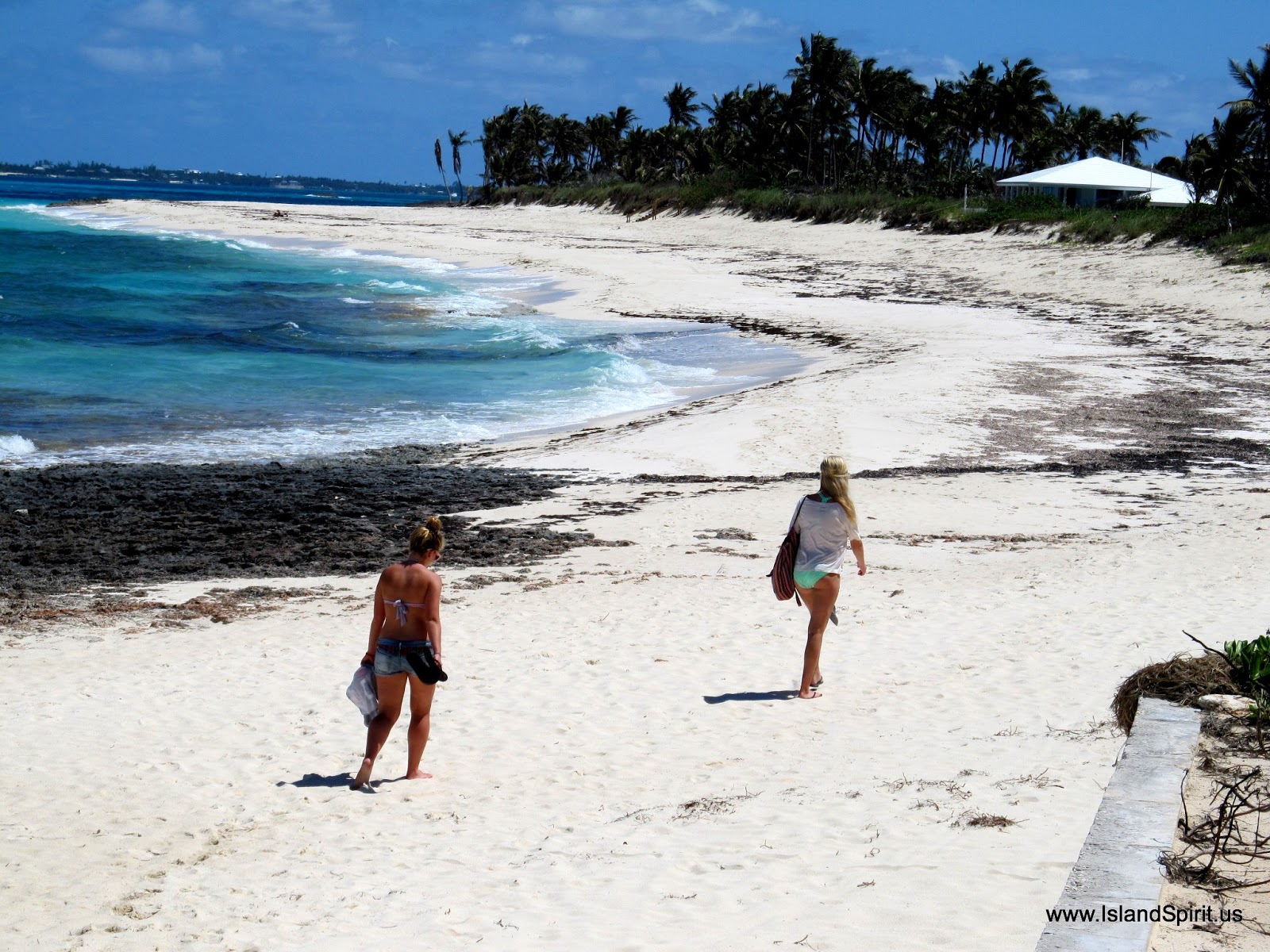 Jib Room and Beyond - svIslandSpirit.com