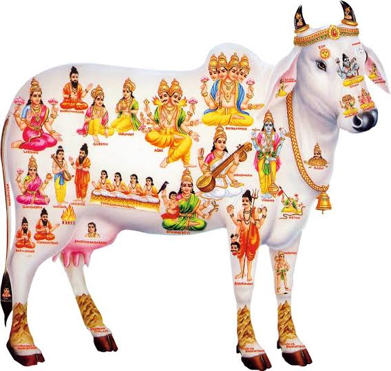 Gaumata ji ki Aarti | गौमाता जी आरती - Indian pooja bhakti
