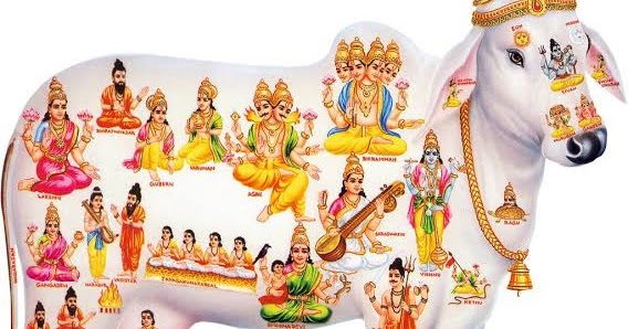 Gaumata ji ki Aarti | गौमाता जी आरती - Indian pooja bhakti