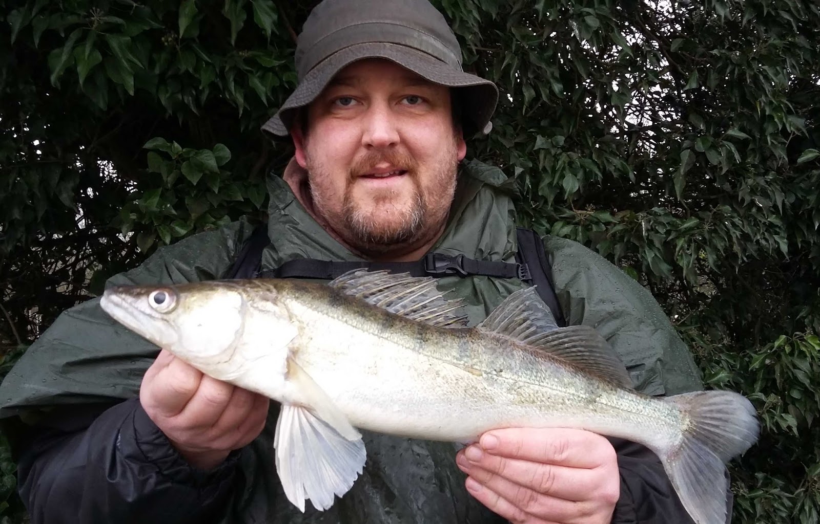The Lure of Angling: Save the zander.