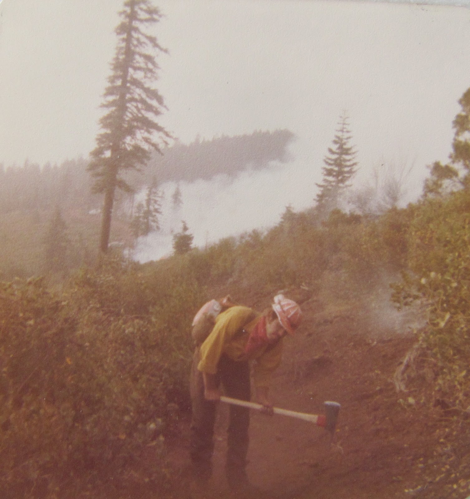 Summers of Fire: A Memoir of Adventure, Love and Courage: All about ...