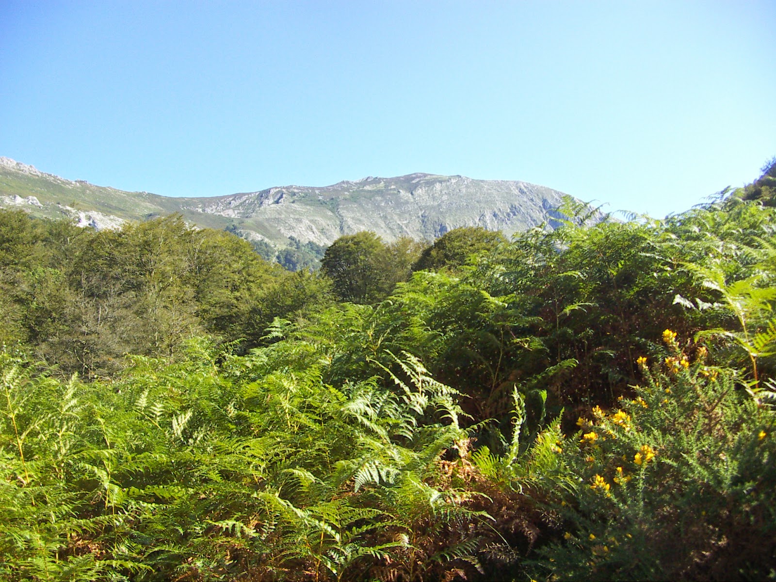 ASTURIAS para disfrutar: Ruta del Alba