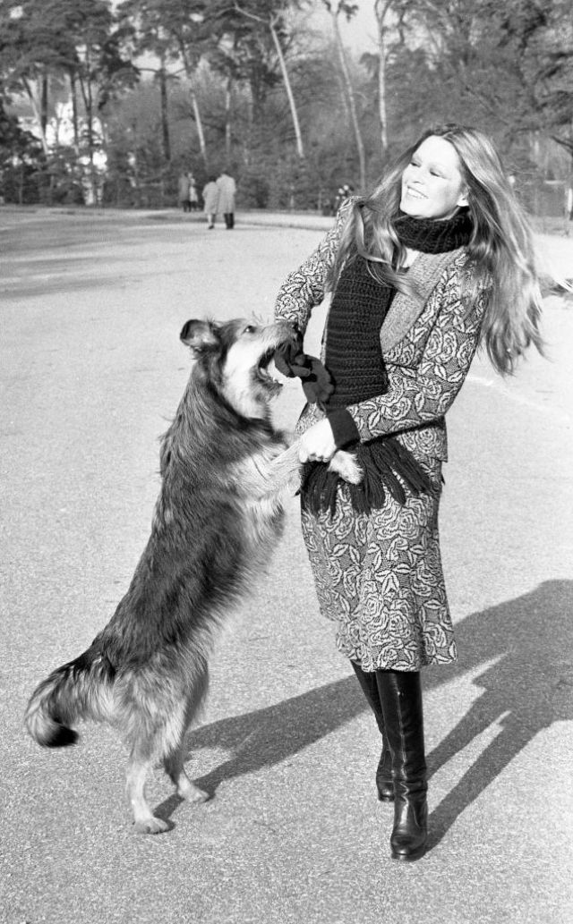 Fascinating Vintage Photographs of Brigitte Bardot With Her Dogs ...
