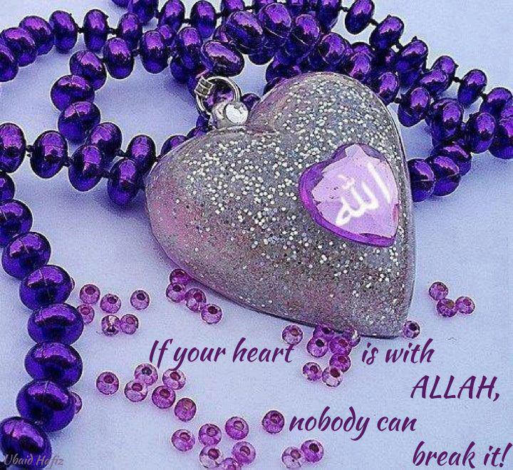 Allah In Your Heart ~ Fresher Jobs