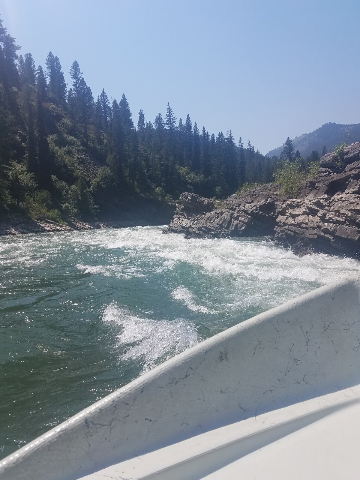 Webutante: Poutchi Catches A Beautiful, Fat Cutthroat In the Snake ...