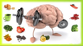 Le Cerveau de l'Enfant et de l'Adolescent: Alimentation et ...