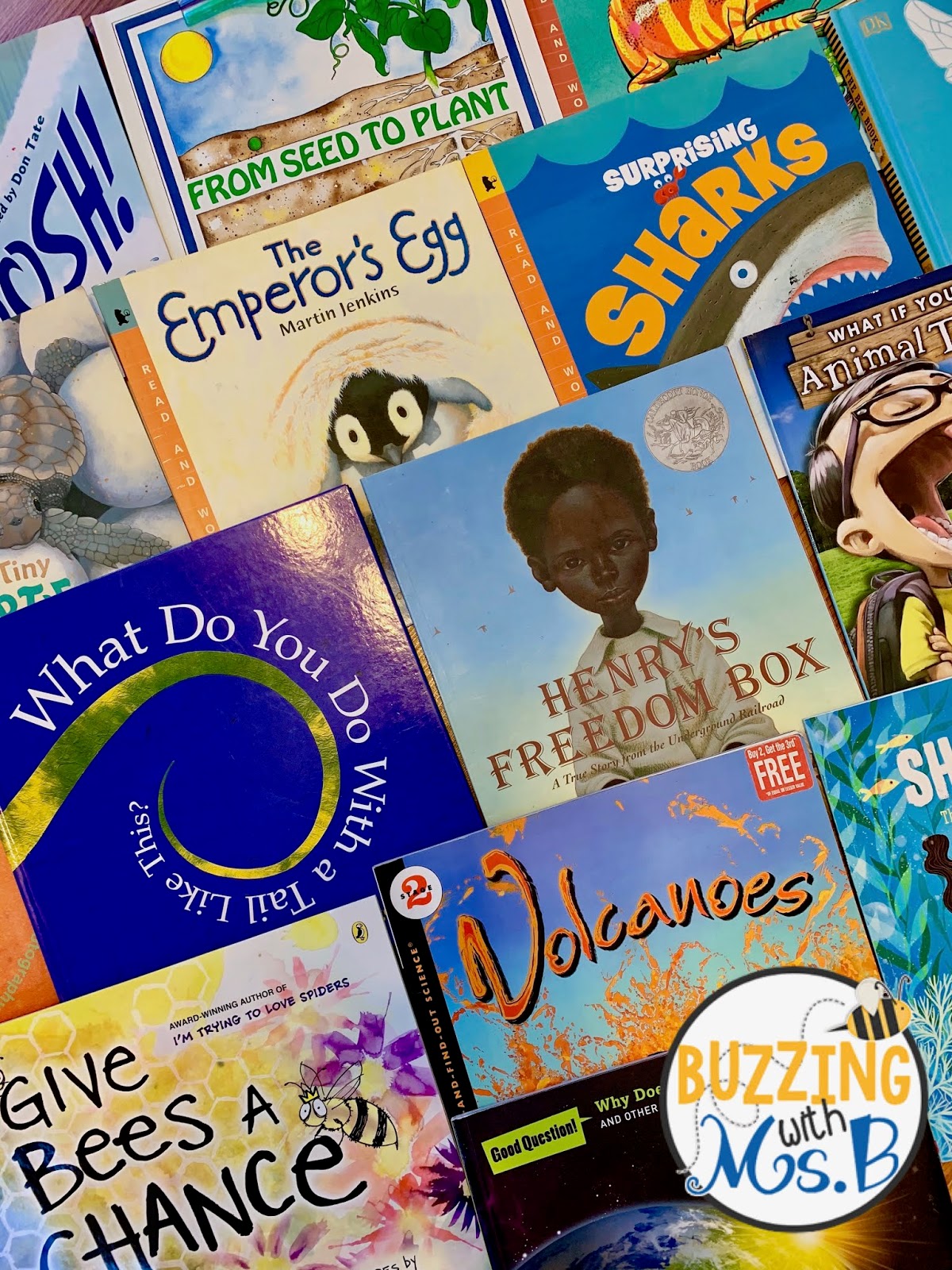 Using Mentor Texts in Reading and Writing *Free download - Buzzing with ...