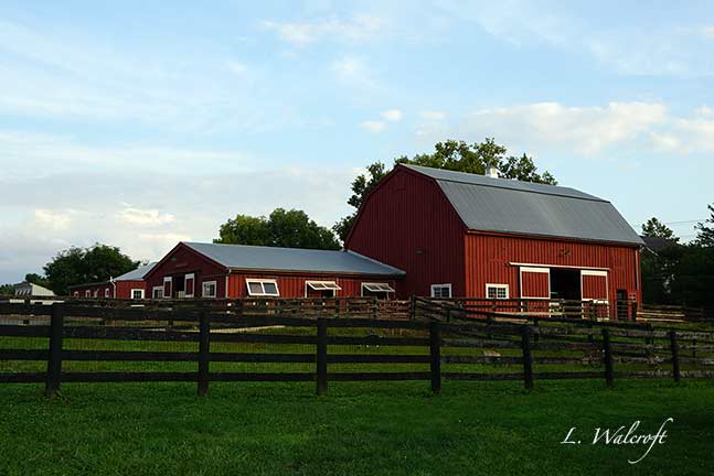 The View from Squirrel Ridge: Red Barns at Frying Pan Park.
