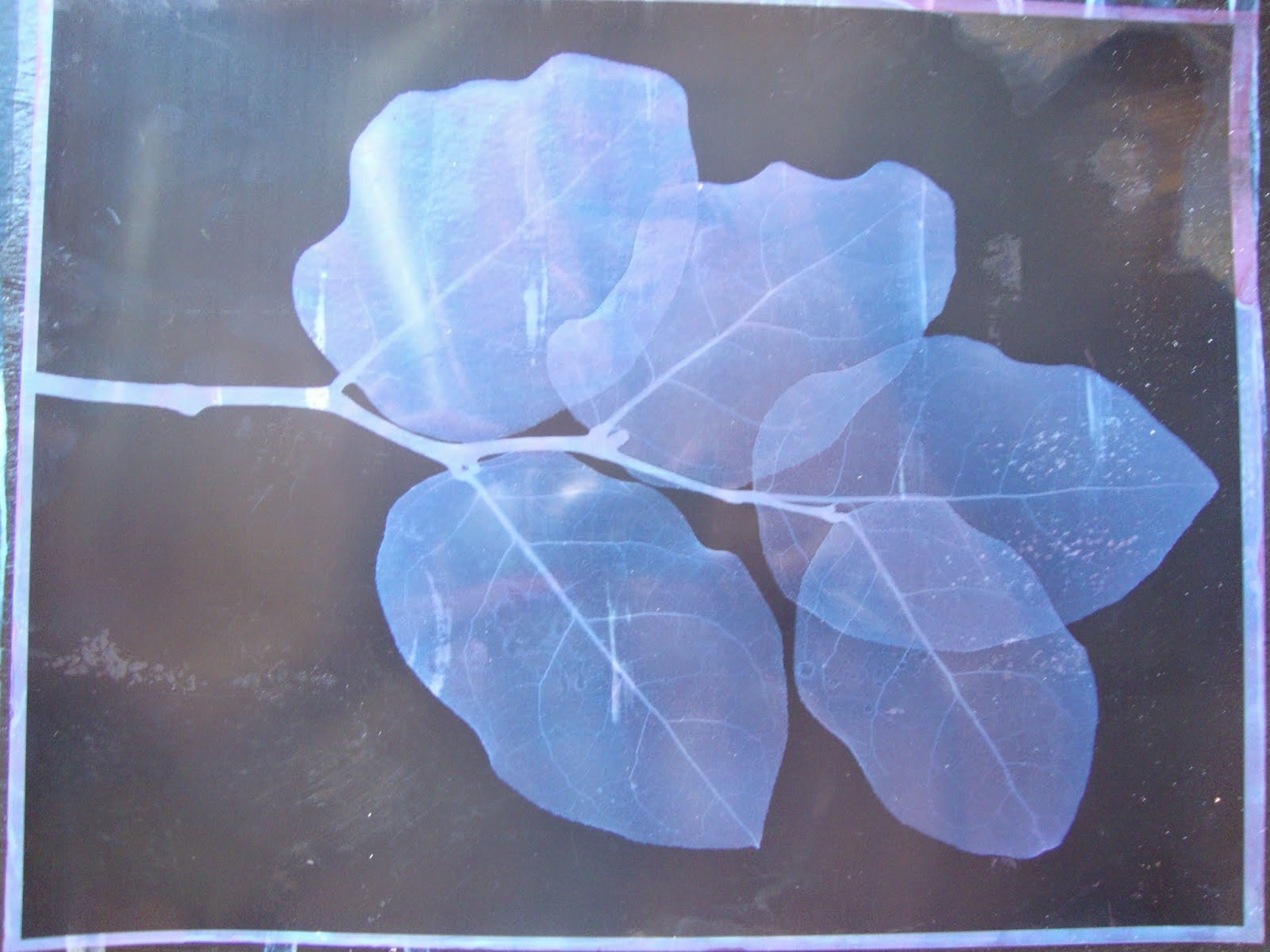 This blog is no longer active but all our content is still here and ...