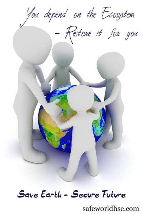 Popular Environment Slogans on Ecosystem Restoration – Environment ...