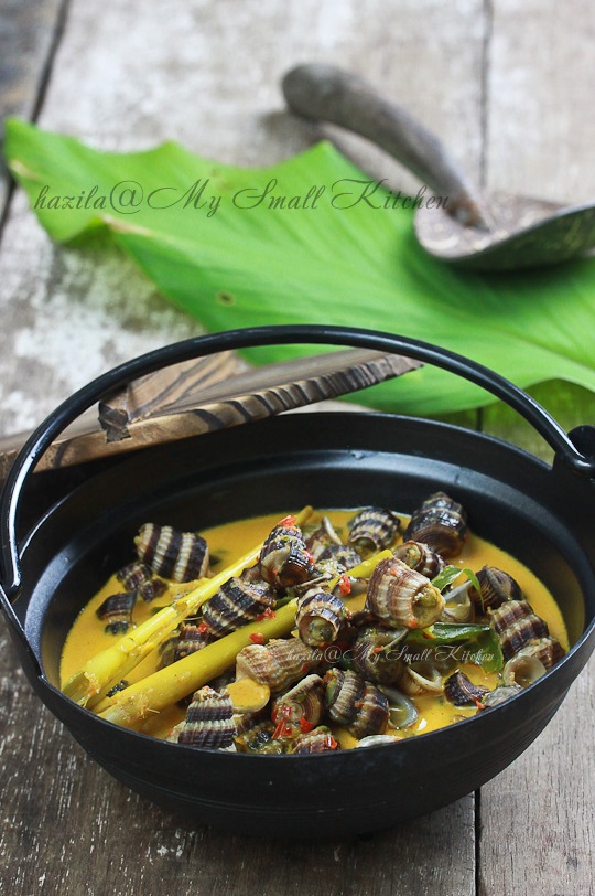 My Small Kitchen: Masak Lemak Siput Sedut