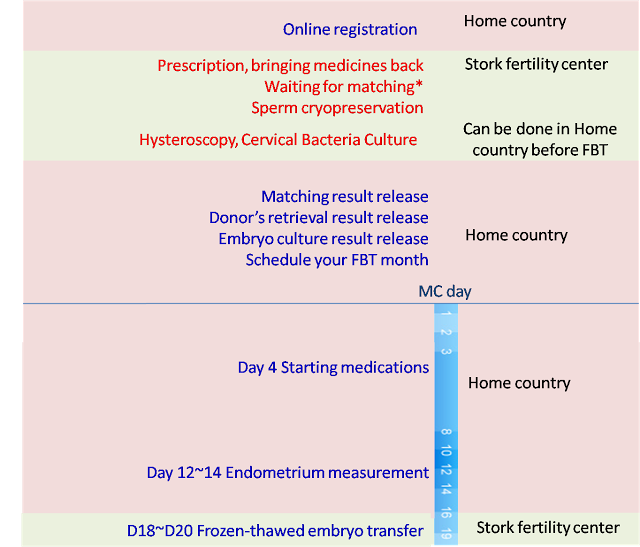 The procedure of oocyte donating IVF | Stork Fertility Center-test