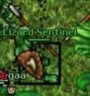 Poradnik zarabiania - Cult Cave na Ankrahmun - Forbidden Temple - Tibia ...