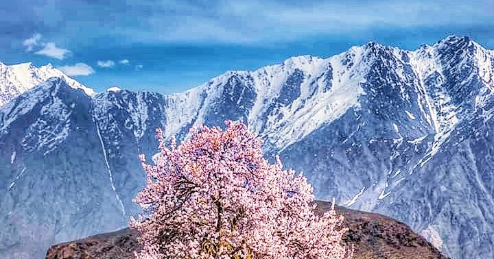 Chunda Valley(وادیِ چنداہ)