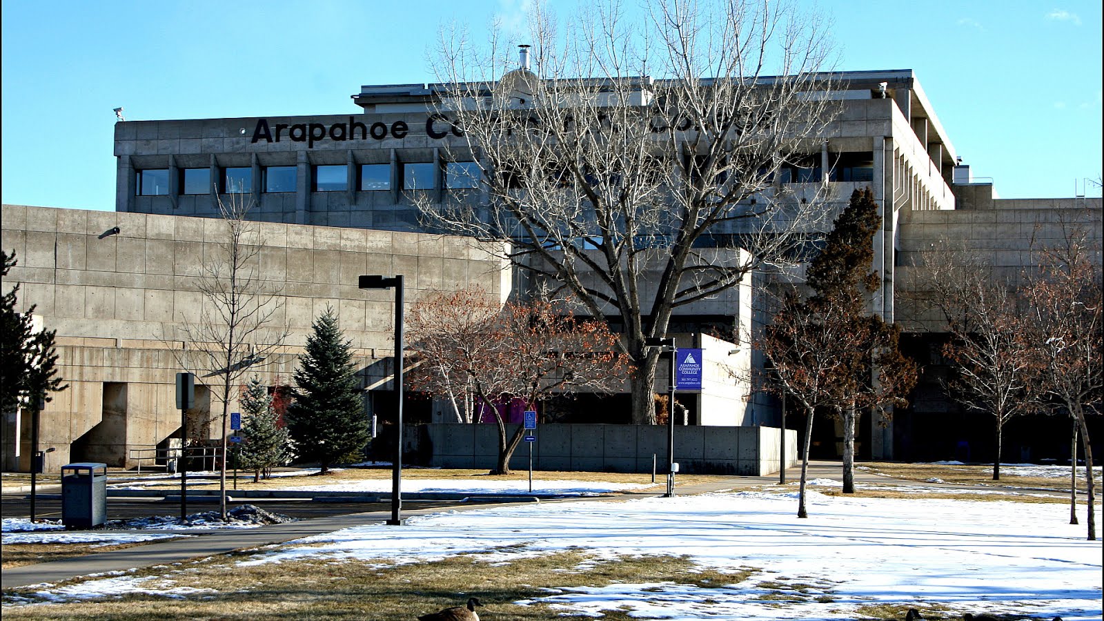 Community College Of Denver College Choices