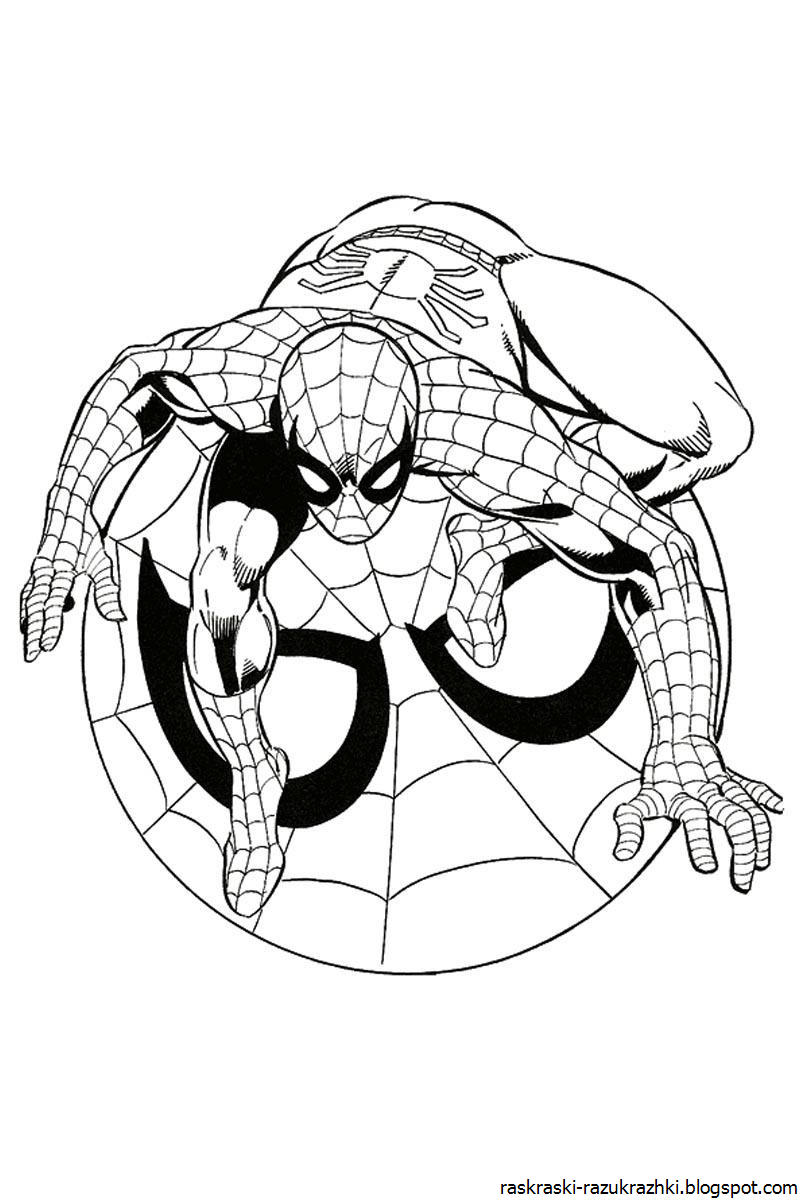 Человек Паук Раскраска Для Детей